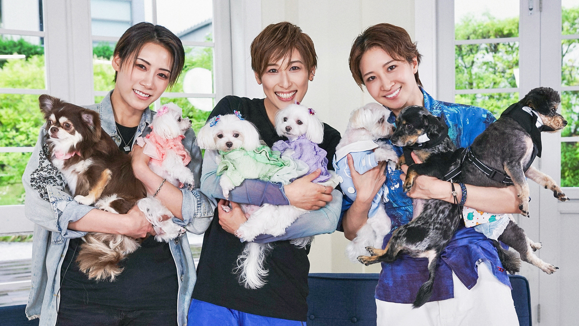 TAKARAZUKAあにまるハウス特別編～111（ワンワンワン）の日にワンちゃんたちが大集合SP～|TAKARAZUKA SQUARE【タカスク】